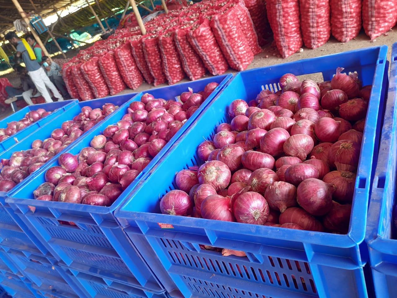 International Trading Corporation (India), India - Social Marketplace | Tridge