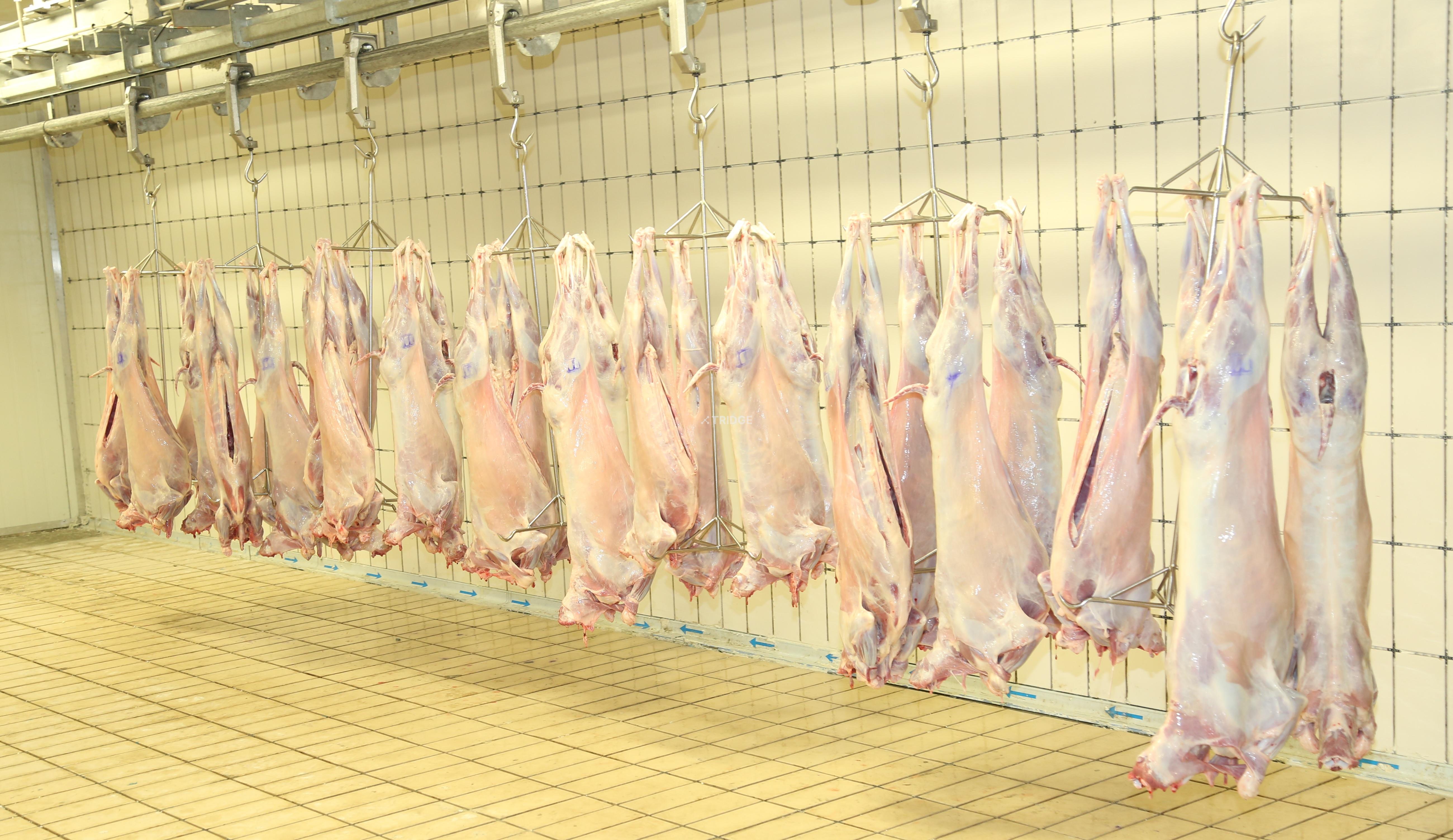 null, Ethiopia - Tridge