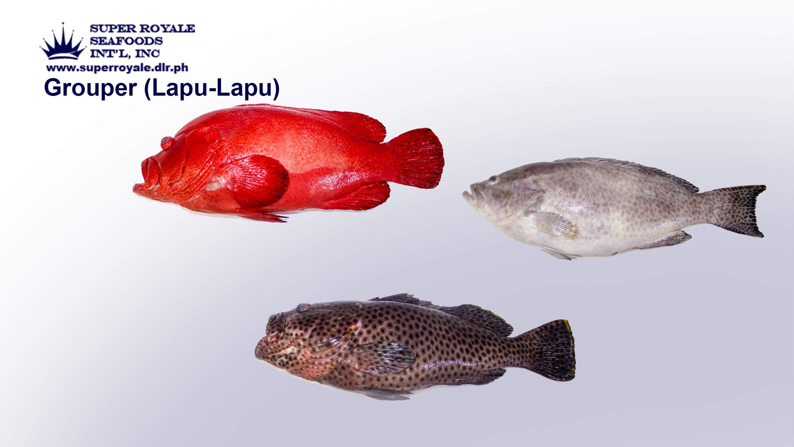 , Philippines - Tridge