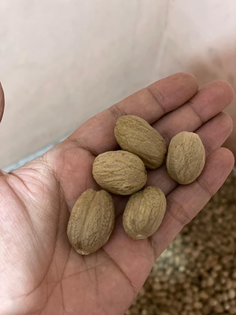 Products of , Indonesia - Tridge