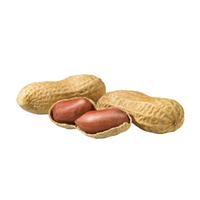 Argentina: What diseases can an adequate consumption of peanuts prevent ...