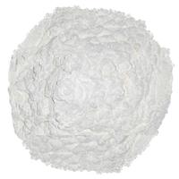 Pakistan Maize (Corn) Starch suppliers, wholesale prices, and market ...