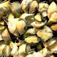 2024 Frozen Snail global market overview today