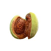 Almond Kernel season in Guam