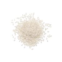 2024 Glutinous Rice global market overview today