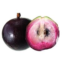 Star Apple season in Philippines