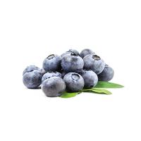 Huckleberry season in Poland