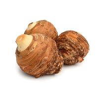 Philippines Taro market overview 2024