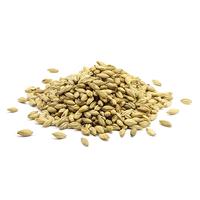 Barley Malt global wholesale market price today