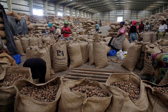 Raw cashew nut market store