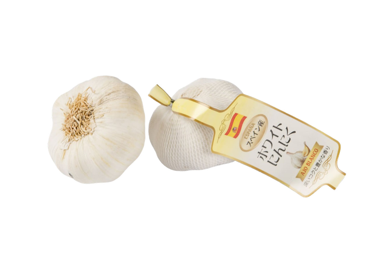Spring White Garlic from Amefruits SL in Spain - Find Suppliers | Tridge