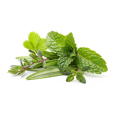 Poland Herbs Products from Top Agri-Food Suppliers | Tridge