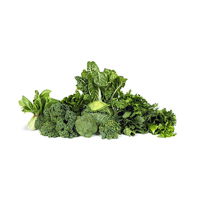 Myanmar [Burma] Leafy Green News & Insights | Tridge