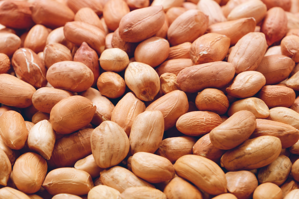 Peanut Kernel Offers From Brazil
