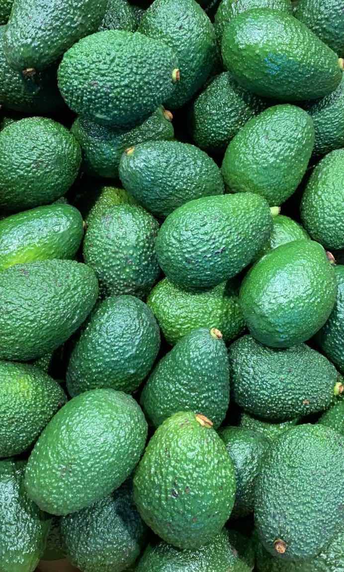 Avocado Offers From Peru - Tridge