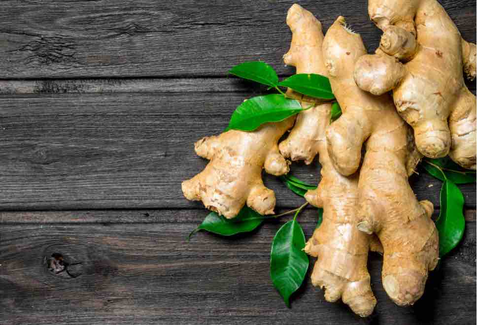 Ginger Offers From Brazil - Tridge