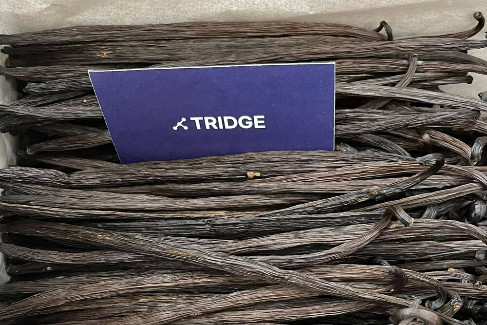 Vanilla Offers From Indonesia