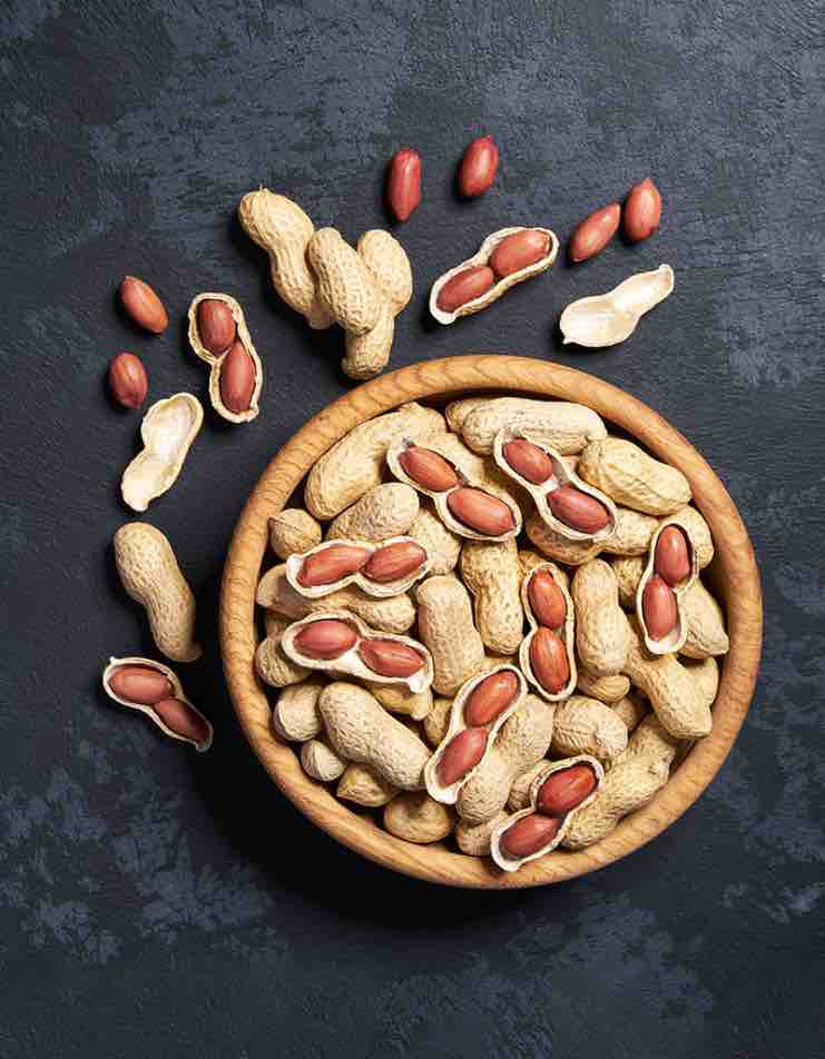 Peanut Offers From Brazil - Tridge