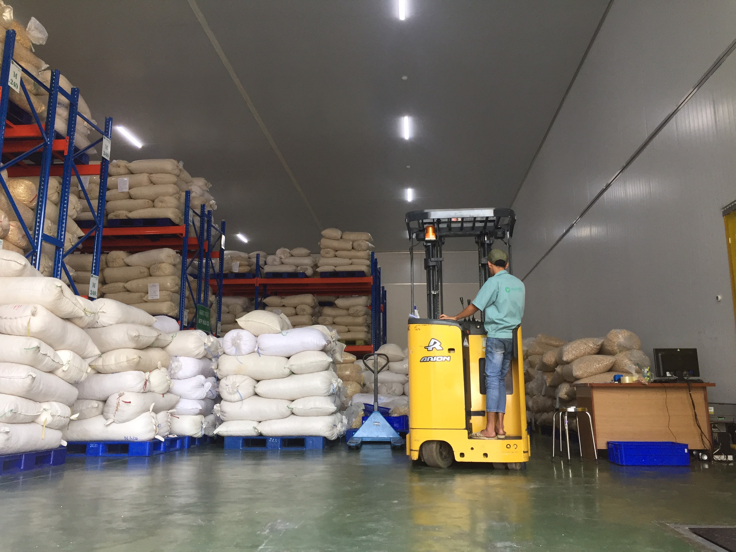 Cashew Nut Kernel Offers From Vietnam - Tridge