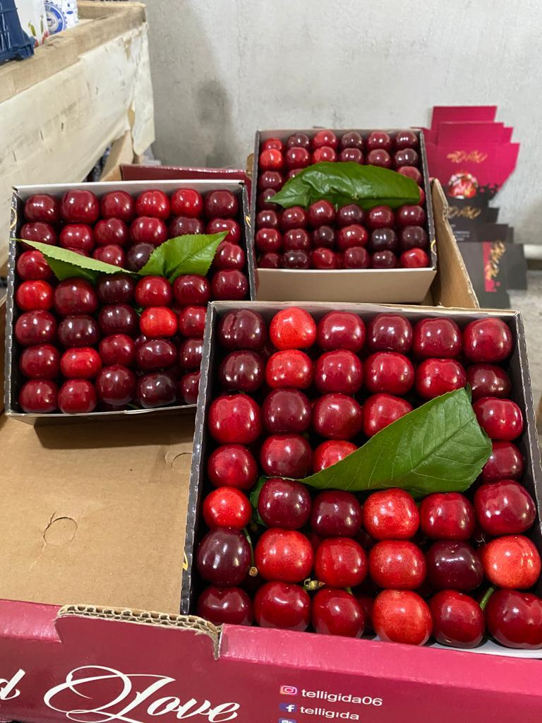 Fresh Sweet Cherry Offers From Turkey - Tridge