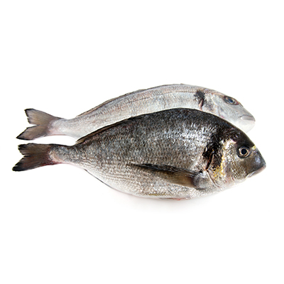 Sea bream import from United States - Tridge