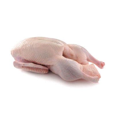 Goose Meat Prices & Offers, Suppliers, News, and More Market ...