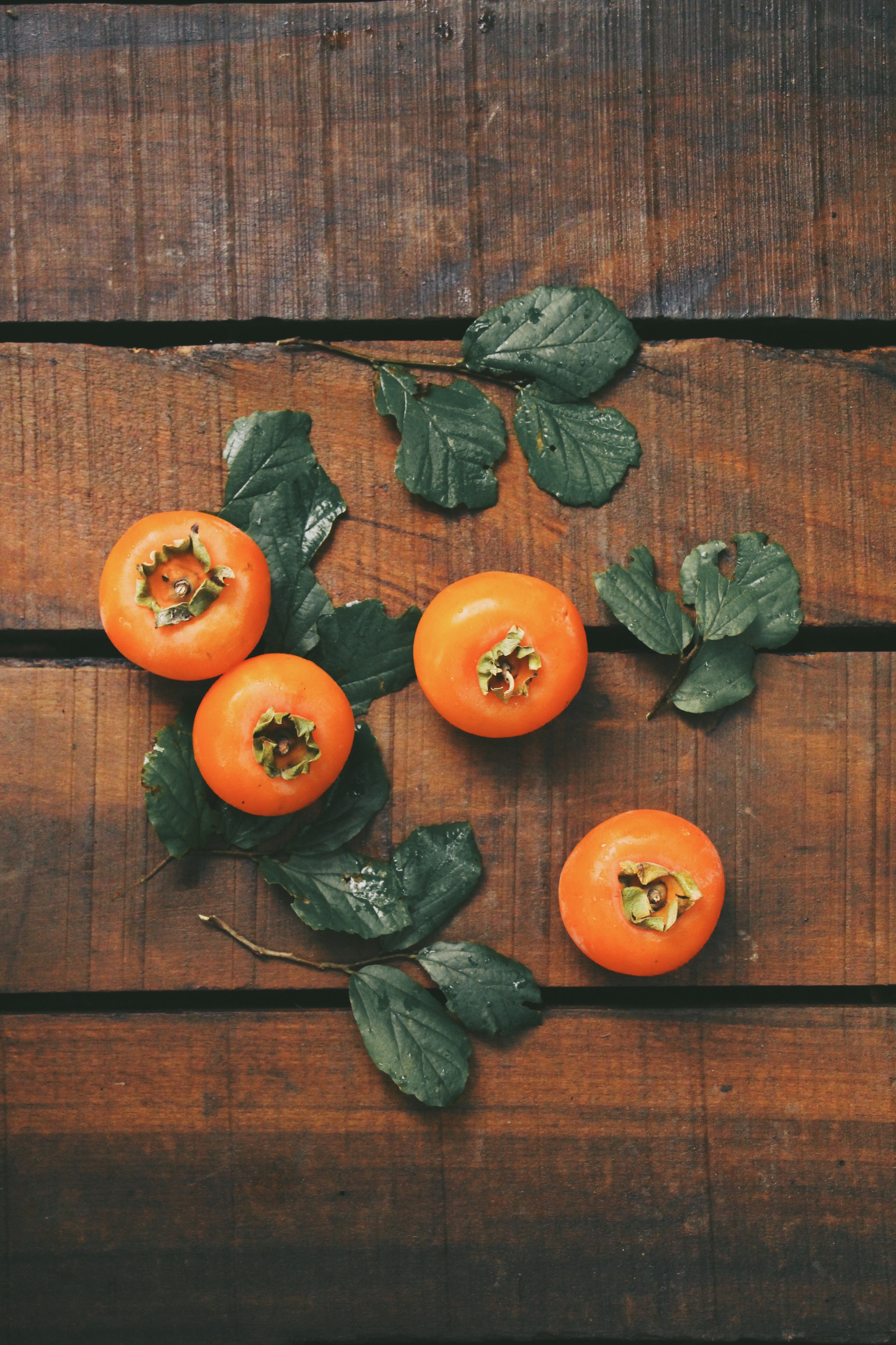 The First Spanish Persimmons of the Season Arrives in CEAGESP Market in ...