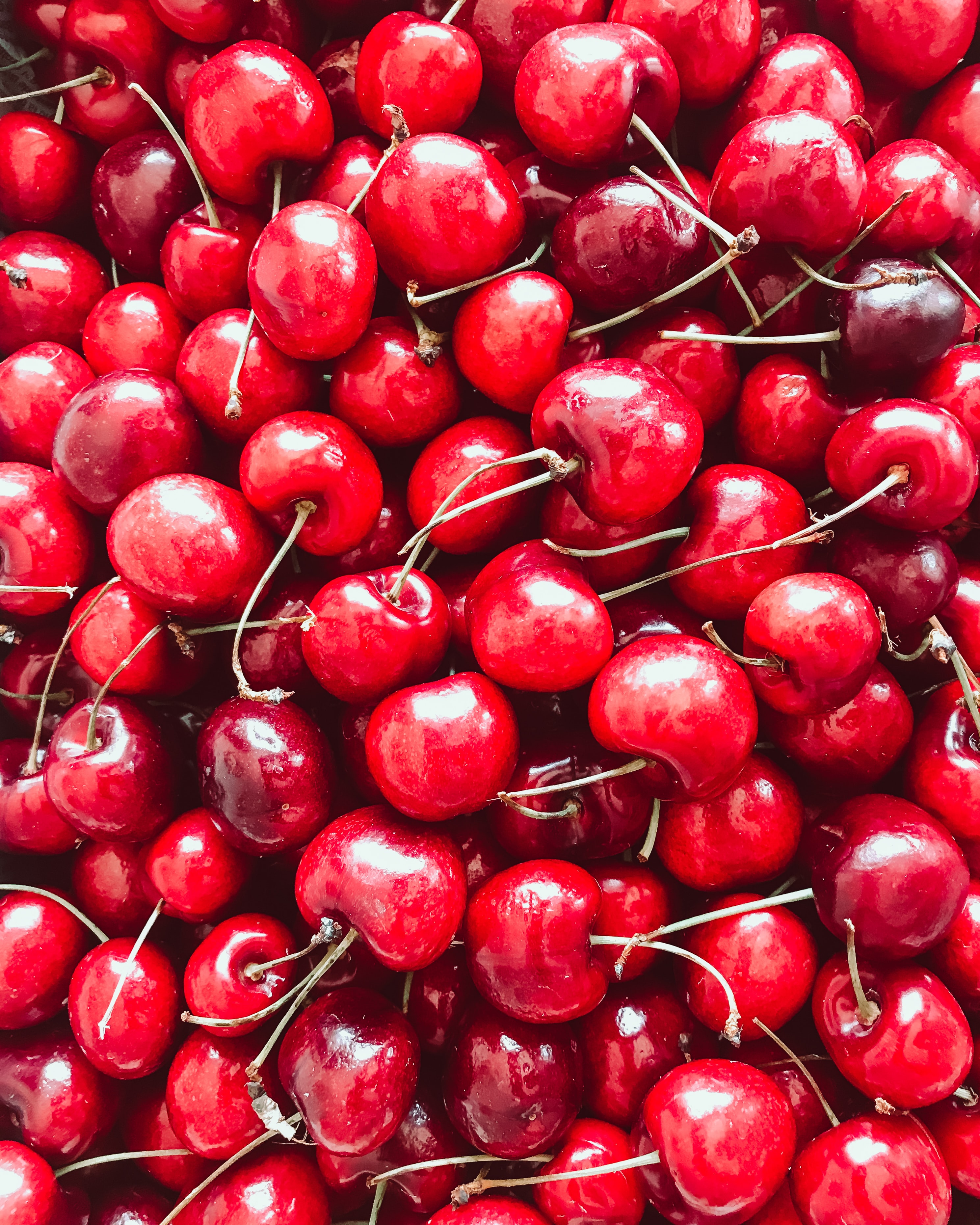 Chilean Cherries Start Arriving at the Guangzhou Market, China, as It ...