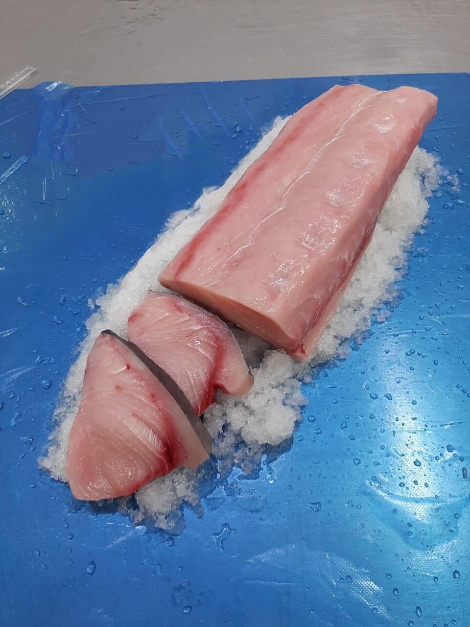 Swordfish Prices in Ecuador Increase YoY