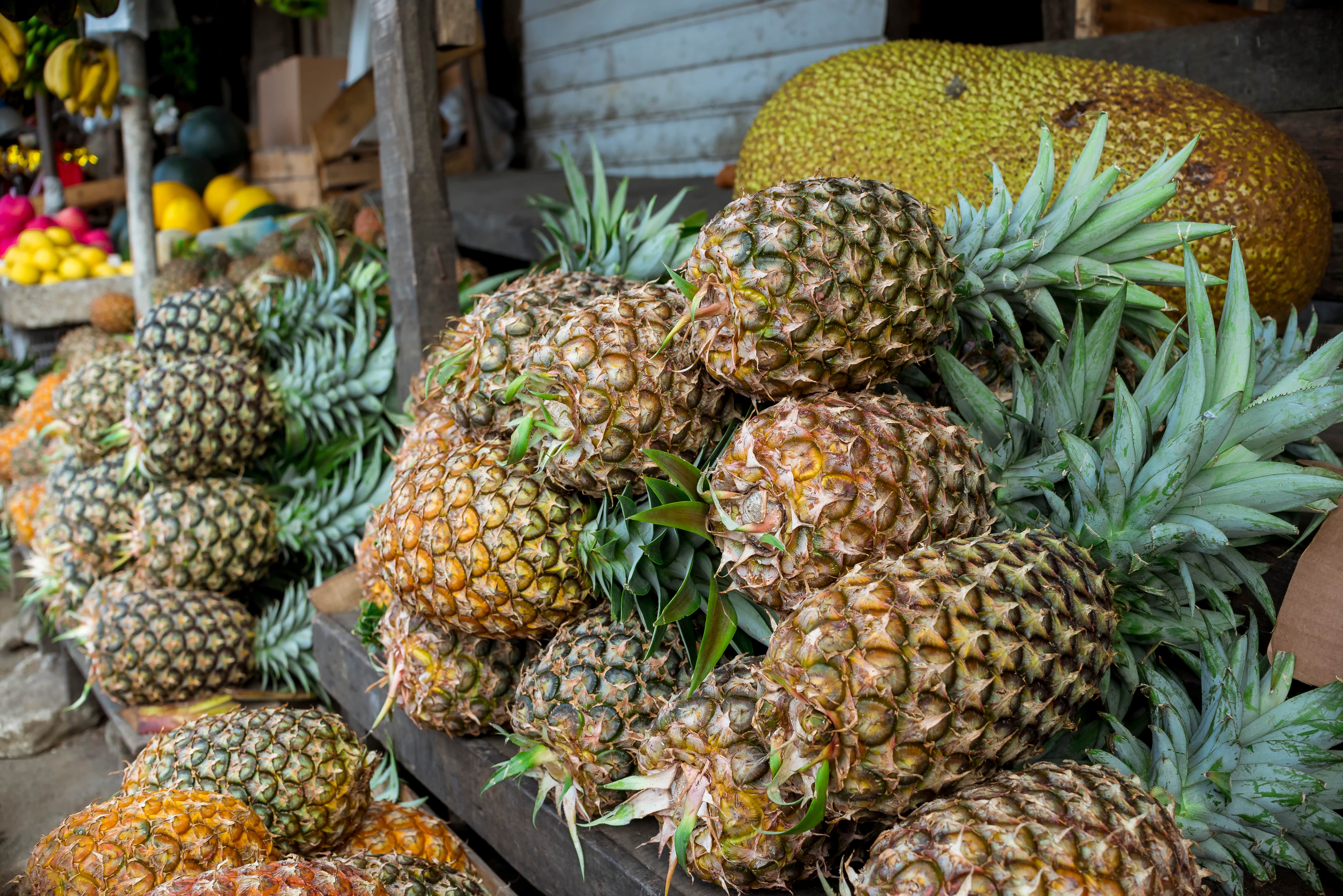 Stable demand of Philippine MD2 pineapples in China