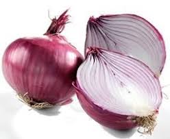 New Pakistani onion more competitive than Indian onion