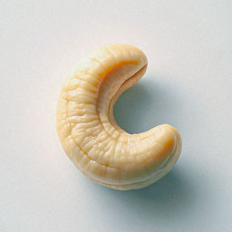 Cashew Nut Price in Ghana | Tridge