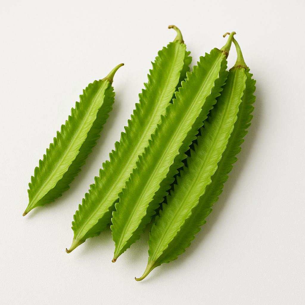 Thailand Fresh Winged Bean Pods: Suppliers & Market Trends