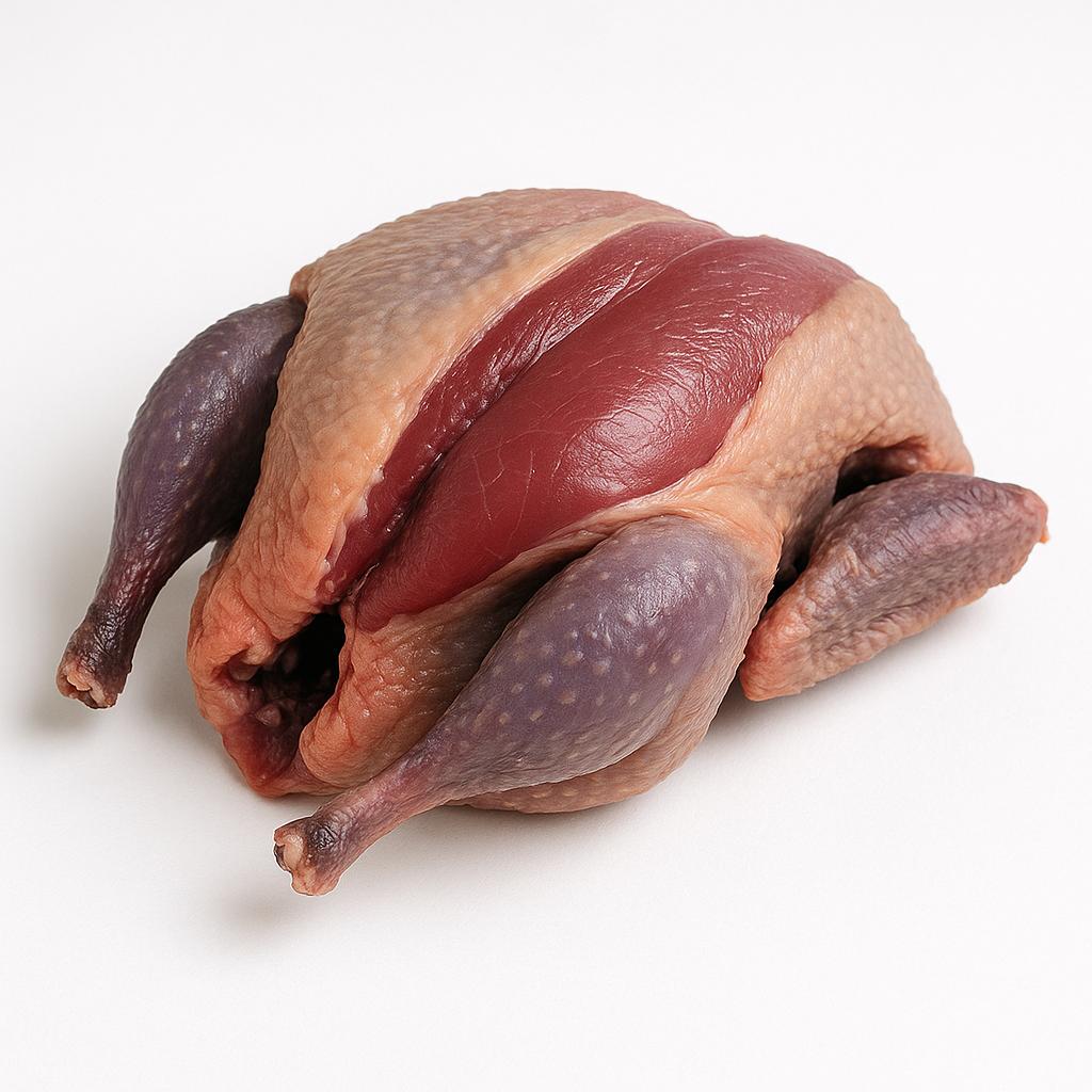 Pigeon Meat Price in China | Tridge