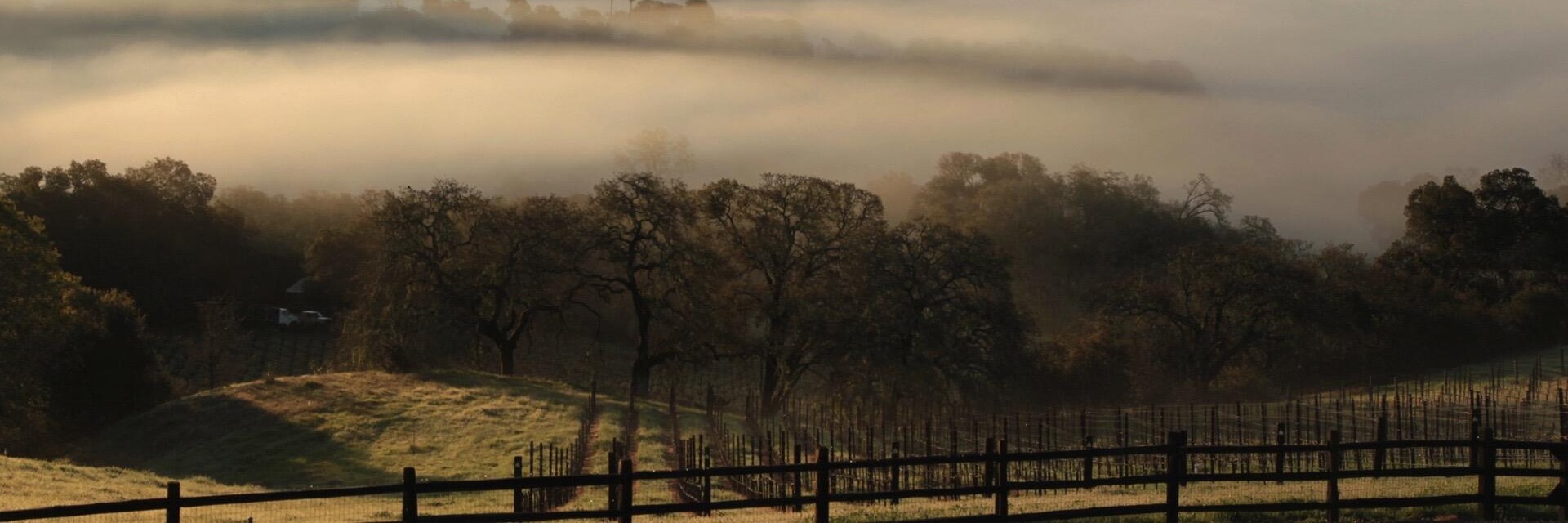 Stone The Crows, United States - Find Suppliers | Tridge