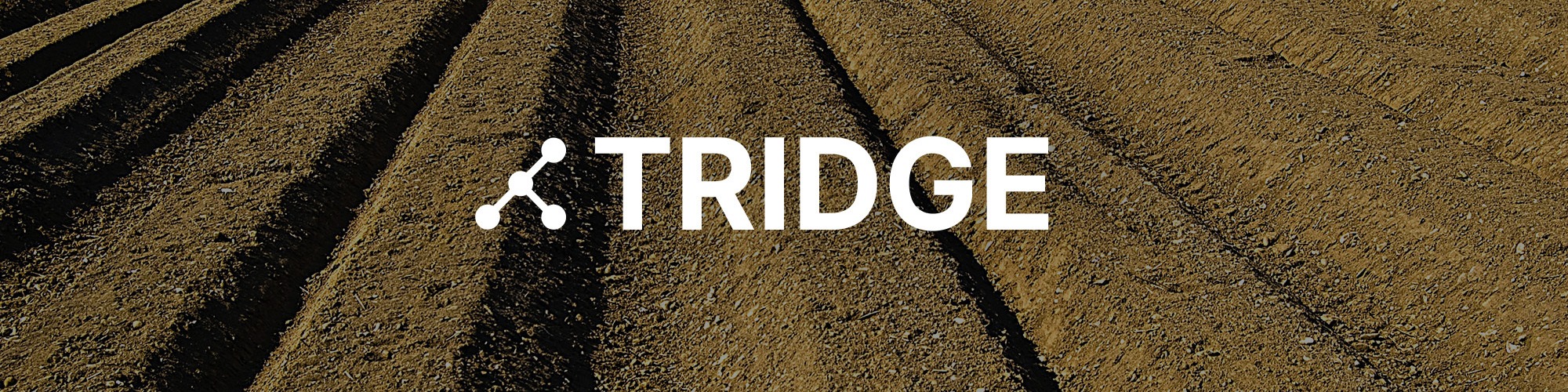 November 2021-Tridge Market Recap Report - Tridge