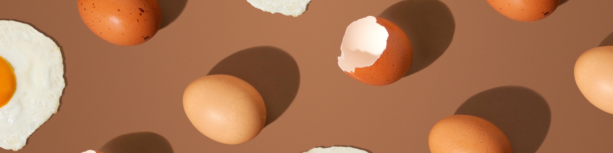 W24: Chicken Egg Update