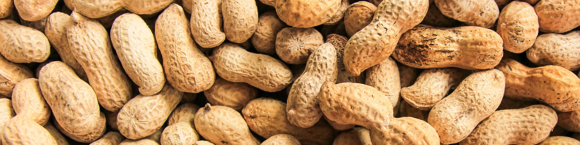 The Nigerian Peanut Market: Waking Up from Slumber