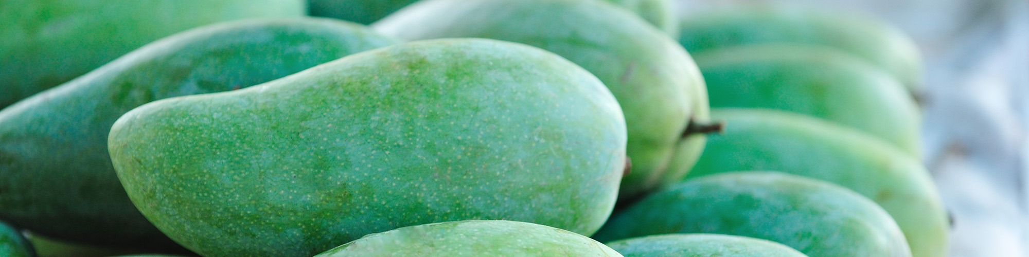 Indonesia Mango Export 2019: Production, Global Market, and Price