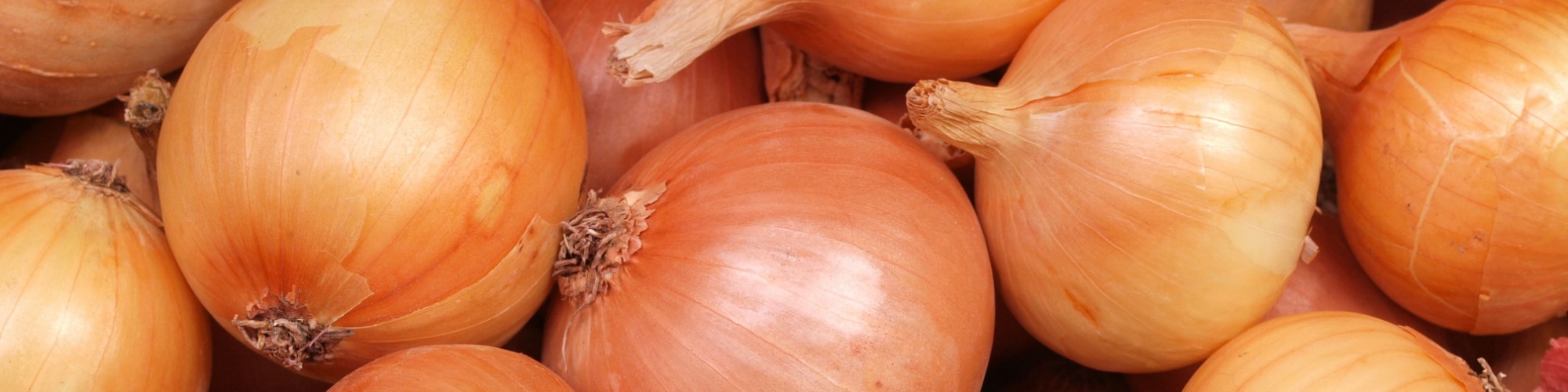 Pakistan Onions Set to Benefit from the Indian Onion Export Ban - Tridge
