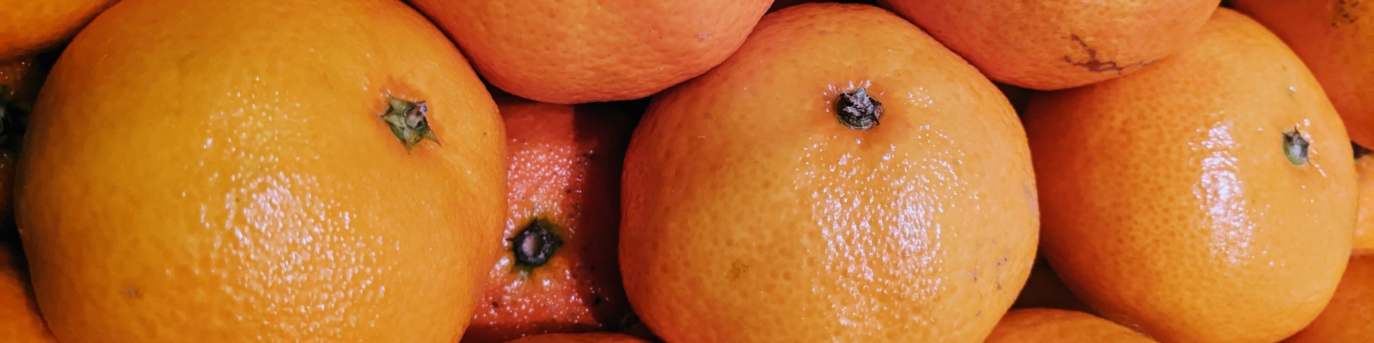 Lower Production of Egyptian Mandarin Is Expected to Push Prices up in ...