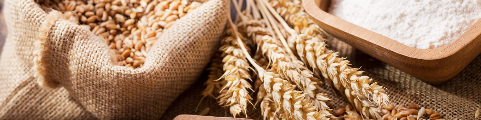 Indonesian Wheat Imports On the Rise - Tridge