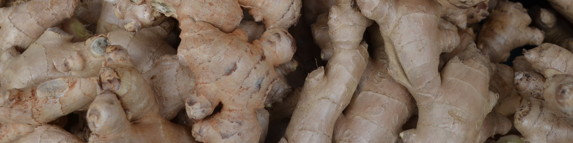 Ginger Prices in China Crash Prior to 2021 Harvest - Tridge