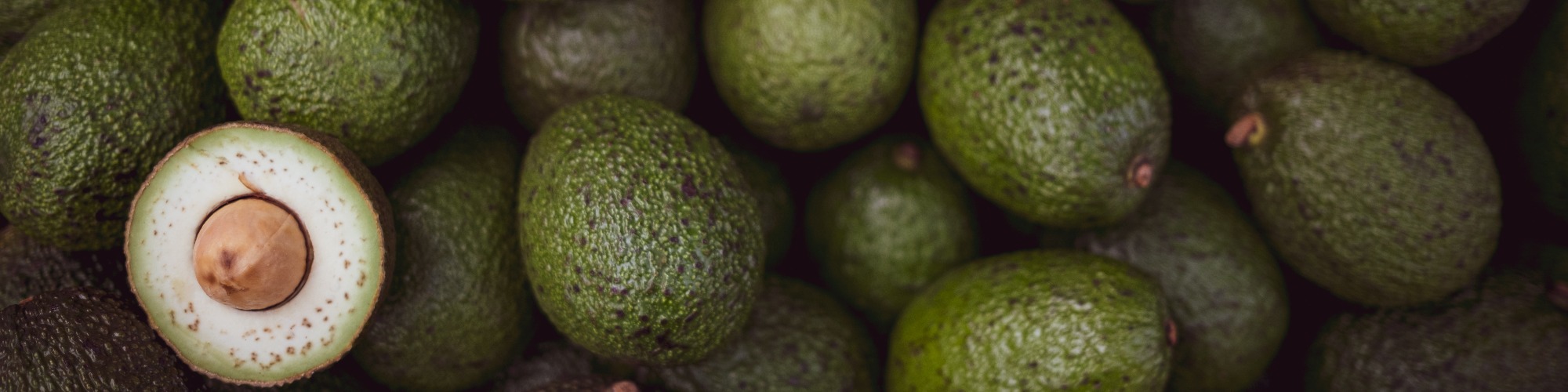 Jalisco Avocados Ready for US Debut amid Skyrocketing Prices - Tridge