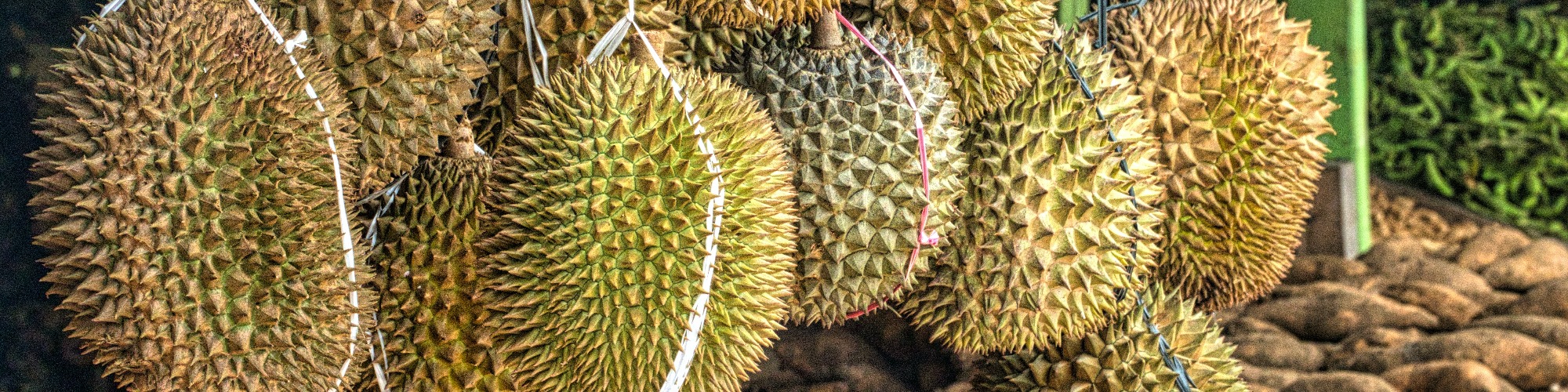 Chinese Border Controls Set to Impact Thai Durian Exports and Prices ...