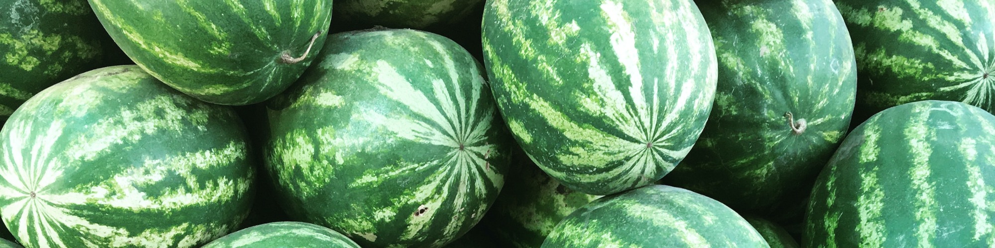 Morocco’s Watermelon Exports Are Increasing as a Result of Lower ...
