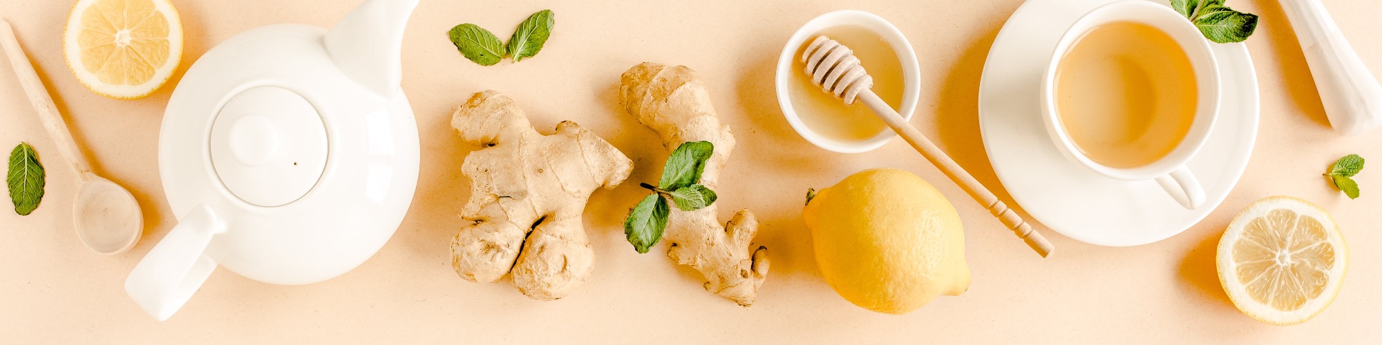 Prime Quality Ginger Ready to Supply the US Market - Tridge