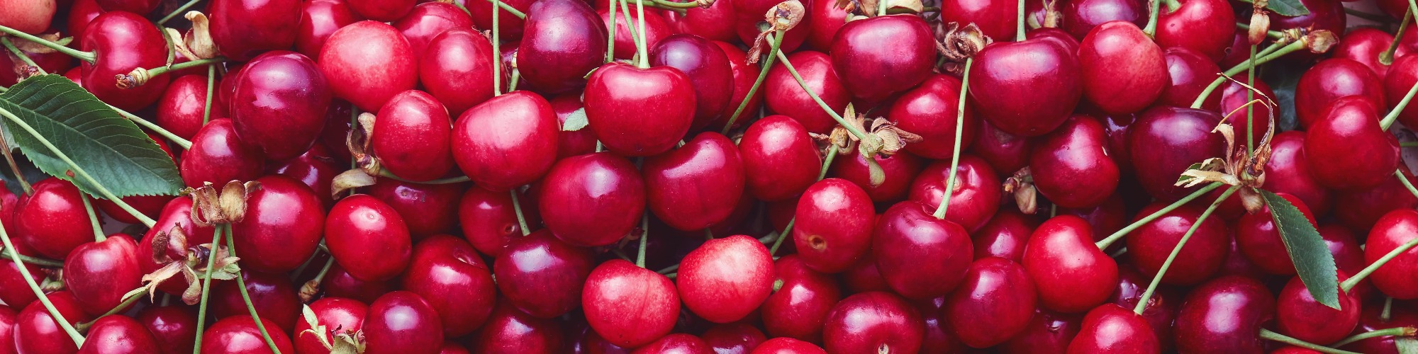 Chilean Cherries Booming - Tridge