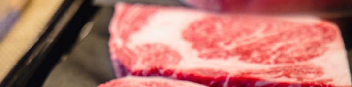 Implications of the Temporary Suspension of Brazilian Beef Exports to China - Tridge