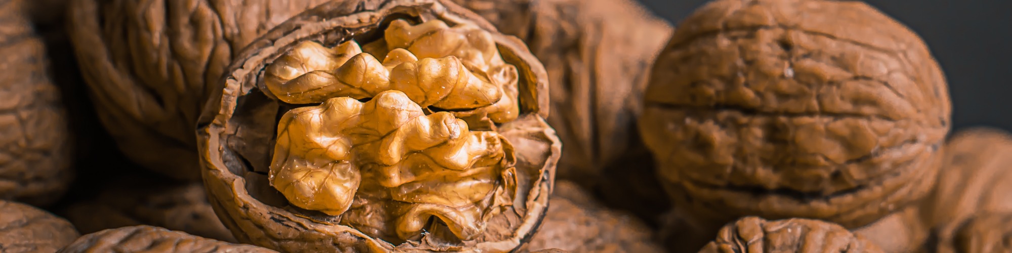 Xinjiang Walnut Harvest Begins With Positive Feedback From Farmers